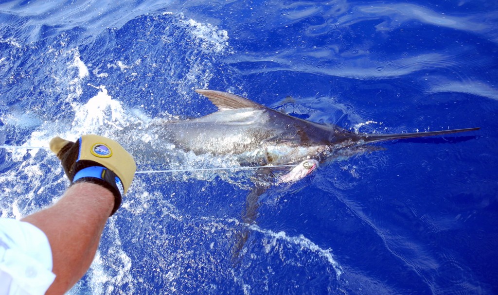I Love Marlin Fishing in Kona Hawaii
